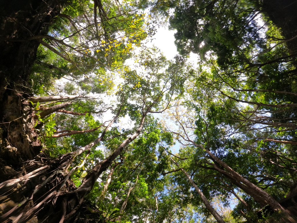 Cenote Adventure & Mayan Ruins (5 Days) - La Casa Surya