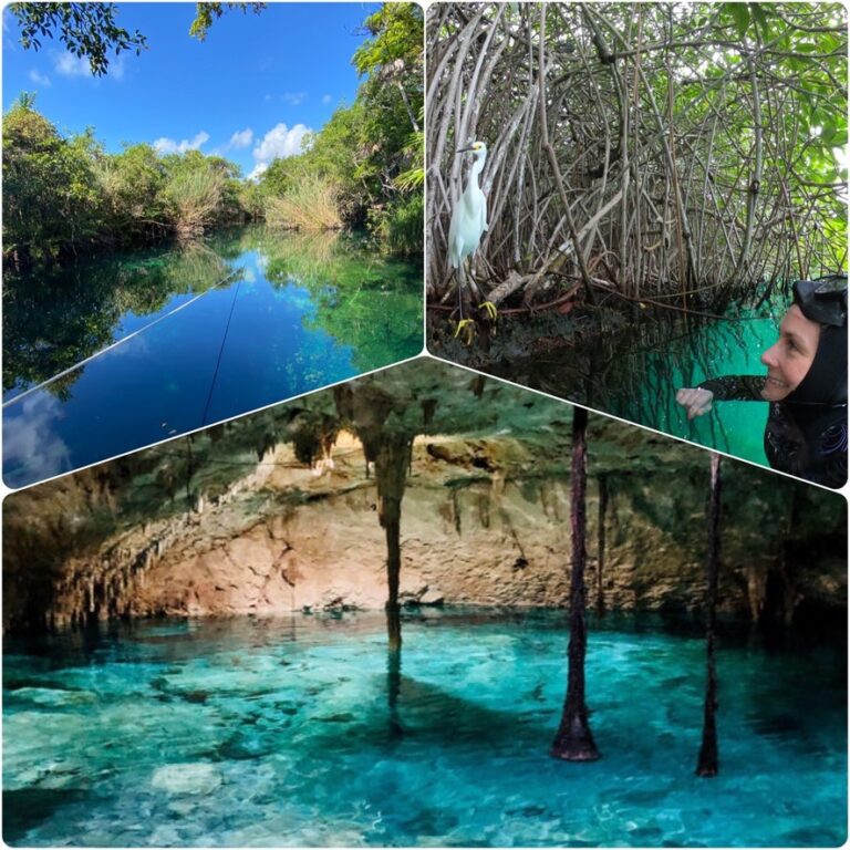 SNORKELING CENOTE TOUR - Cenote Freediving in Tulum
